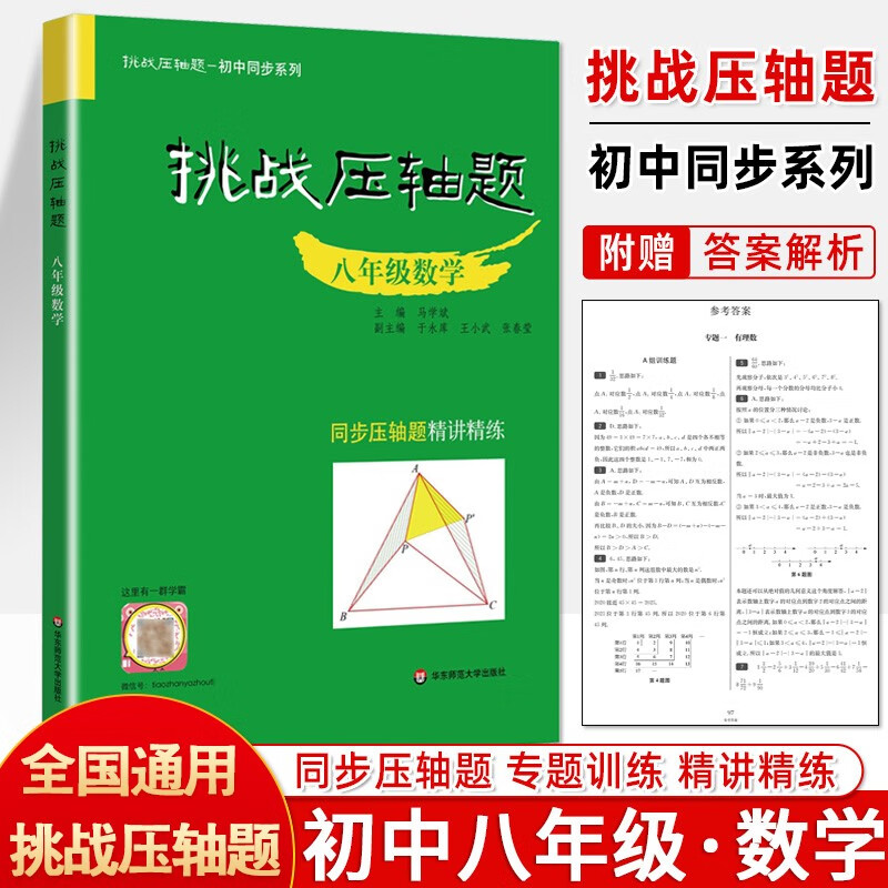 2023版 挑战压轴题中考 数学/物理/化学 入门篇/精讲篇/强化篇 初中初一初二初三真题总复习专项训练七八九年级中考必刷题 挑战压轴题 八年级