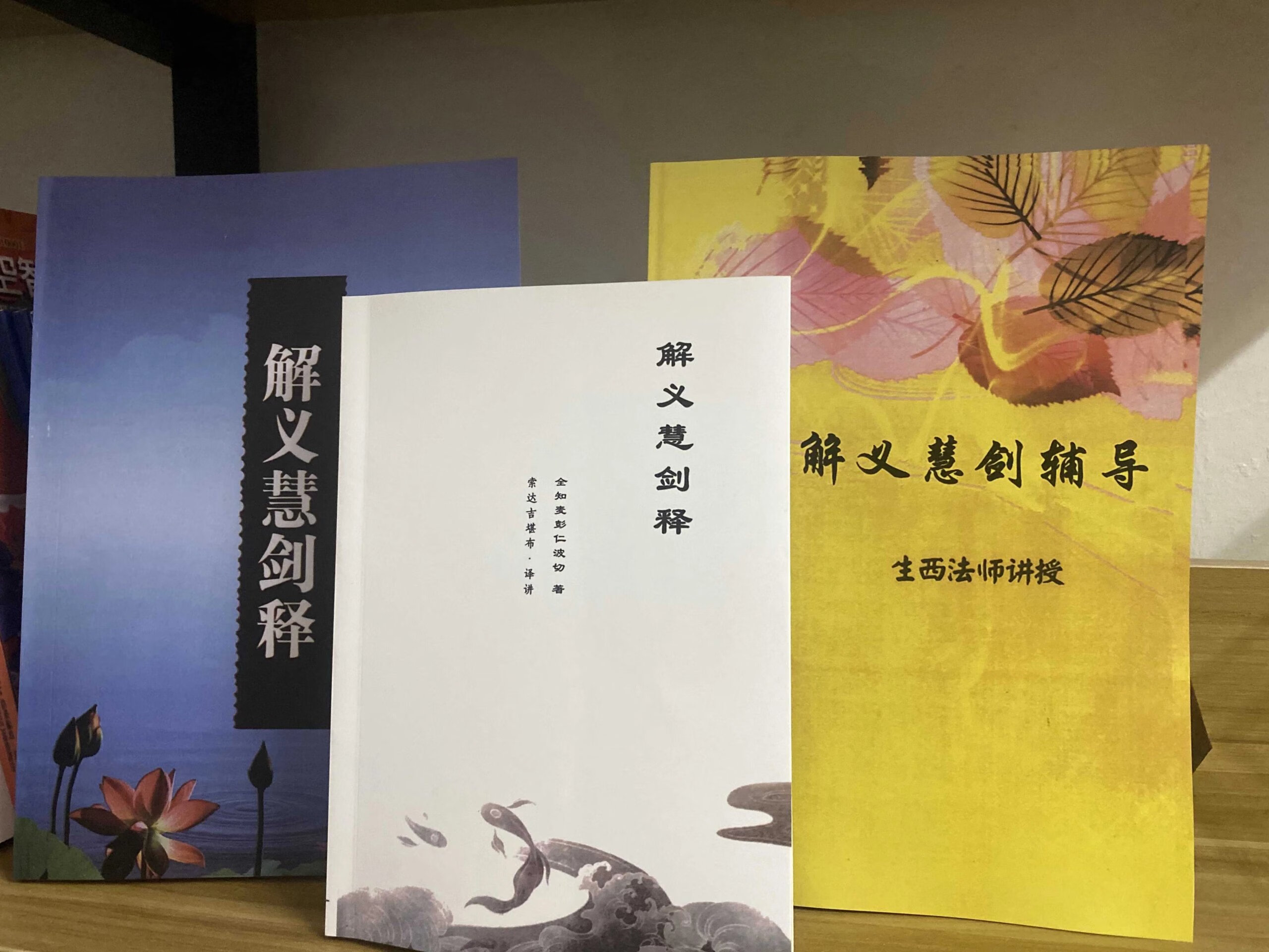 解义慧剑组合（原文讲记辅导）