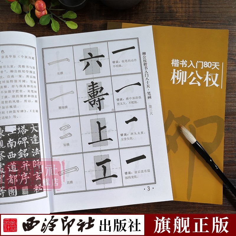 柳公权楷书入门80天 笔画部首+结构章法+错误示范+集字古诗 成人初学者中小学生自学楷书毛笔书法临摹技法教程 柳公权楷书习字帖