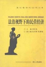 法治视野下的民营经济