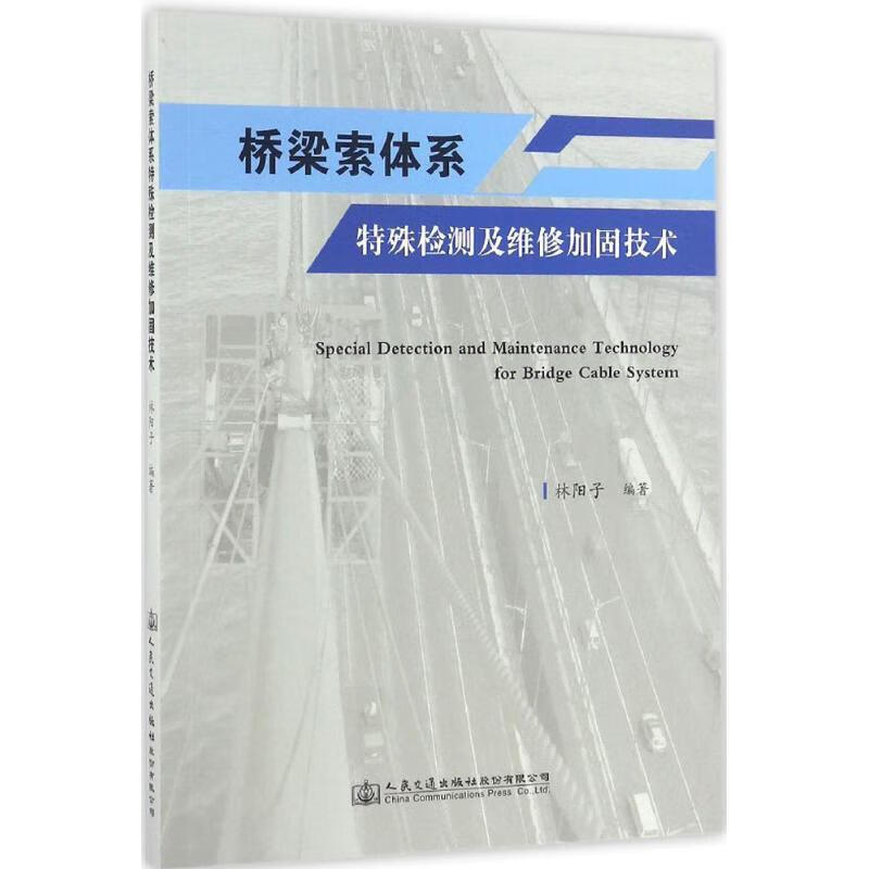 桥梁索体系特殊检测及维修加固技术 林阳子编著 人民交通出版社