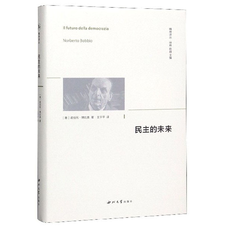 民主的未来/精神译丛