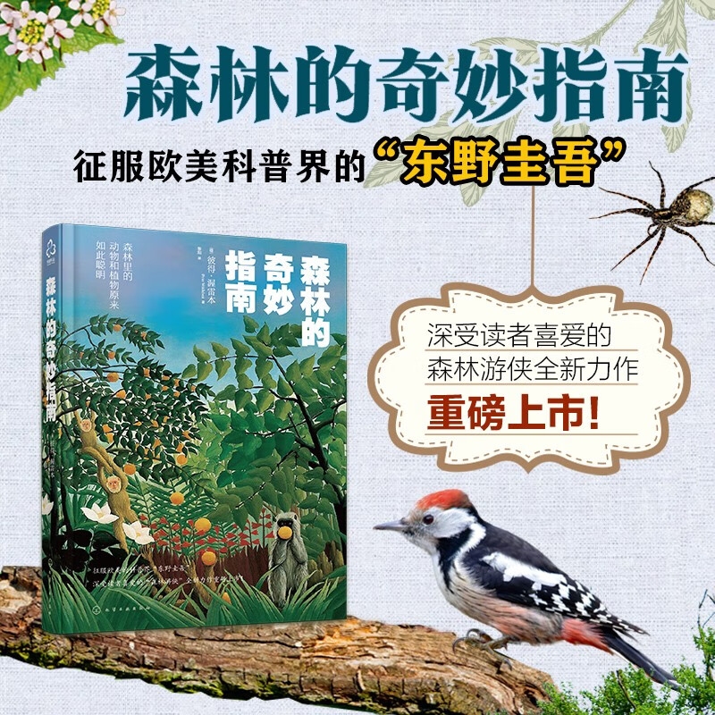 森林的奇妙指南