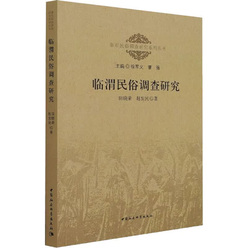 临渭民俗调查研究 图书