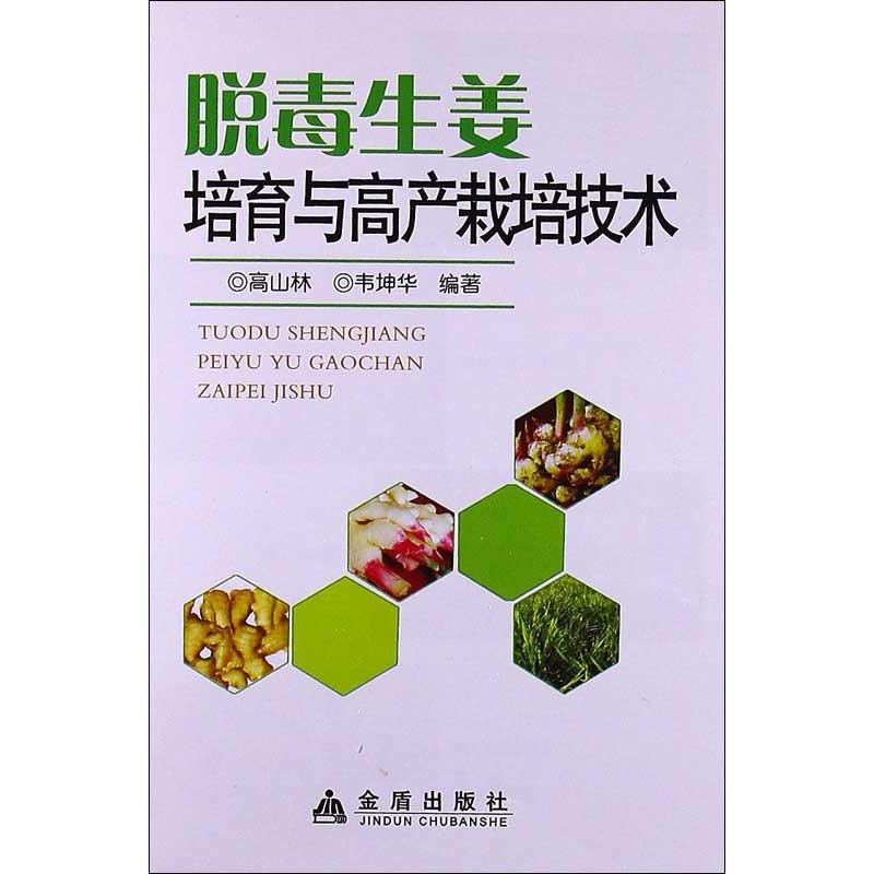 脱毒生姜培育与高产栽培技术 高山林,韦坤华 著 种植业
