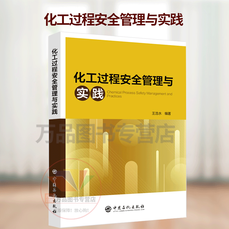 化工过程安全管理与实践 王浩水 安全领导力全员安全生产责任制风险管理安全操作设备完好性管理安全仪表管理化工过程安全管理书籍