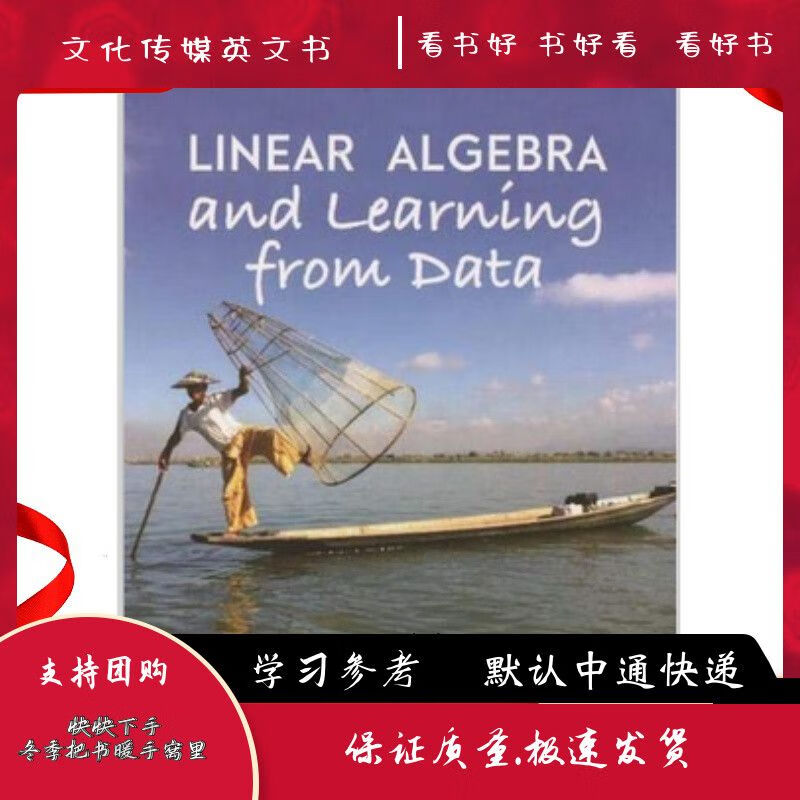 Linear Algebra and Learning from Data纸质书和版 电子版