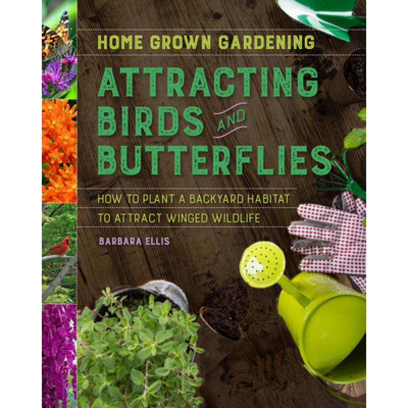 Attracting Birds and Butterflies