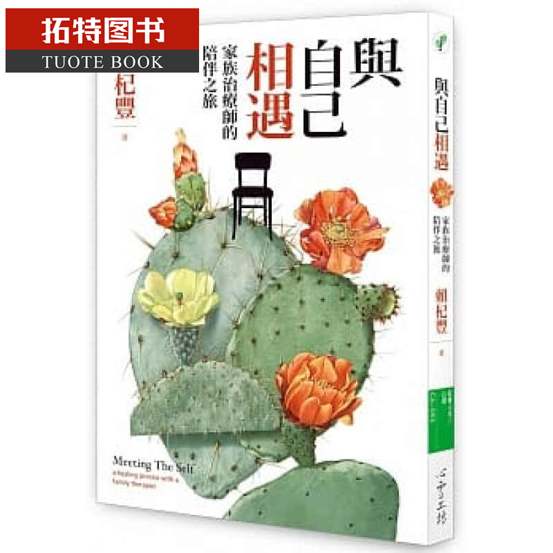 预售 与自己相遇：家族治疗师的陪伴之旅