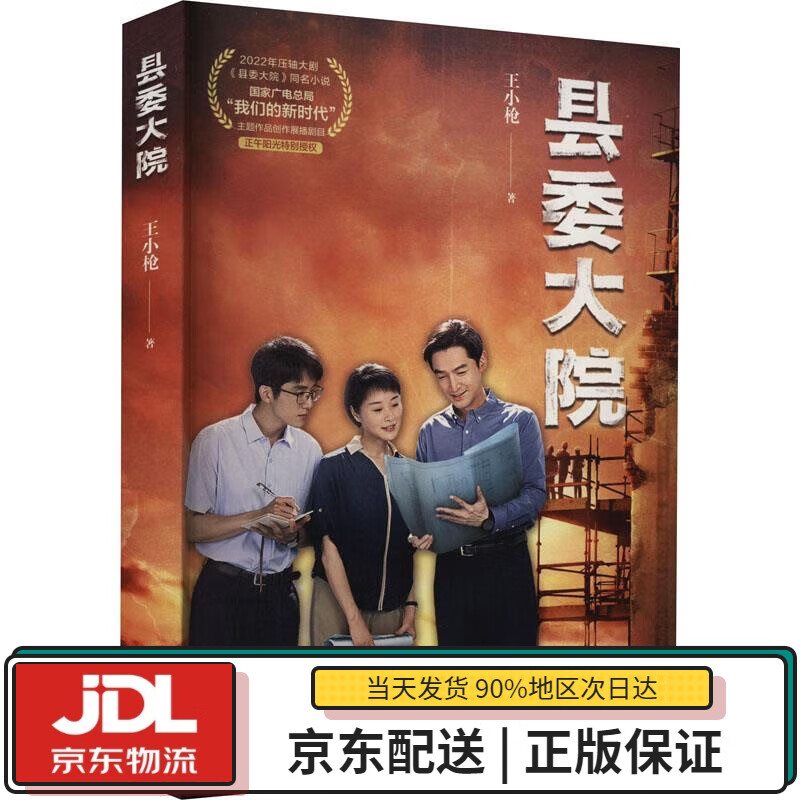 【全新送货上门】县委大院(孔笙导演，胡歌、吴越、张新成、黄磊、刘涛主演同名电视剧原著小说） 王小枪 海南出版社
