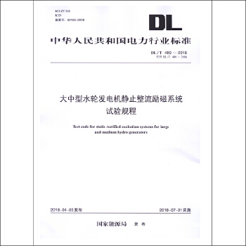 DL/T 489—2018 大中型水轮发电机静止整流励磁系统试验规程 （代