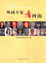 外国专家看河南