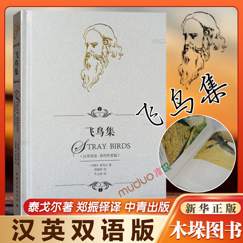 飞鸟集泰戈尔双语 郑振铎译 中英对照全译本无删减版 精装双语彩绘珍赏版 生如夏花之绚烂 泰戈尔诗