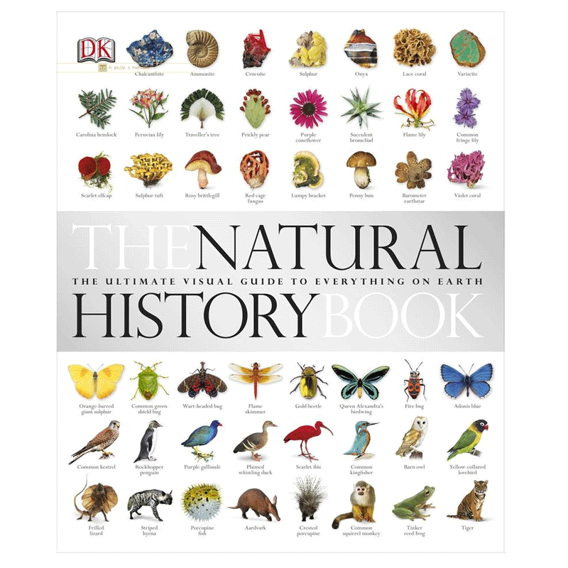 现货 DK博物大百科 自然界的视觉盛宴自然史图解The Natural History Book精装 英文原版进口 全彩 自然大百科全书籍畅销书
