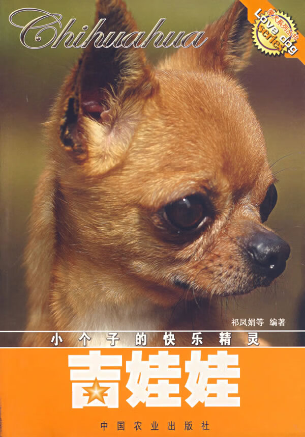 吉娃娃