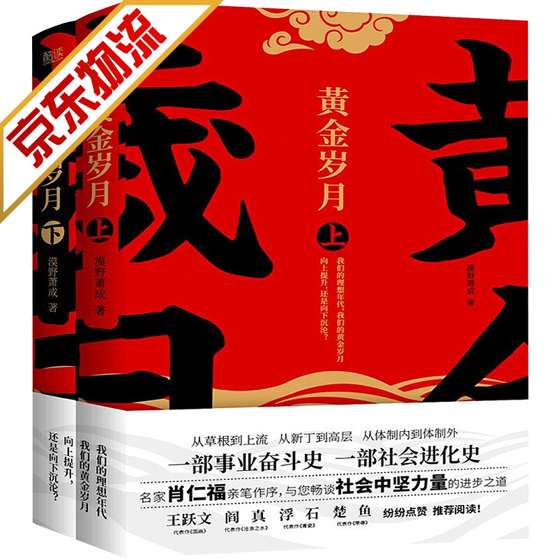 【系列自选】官场小说 黄金岁月(上下册)