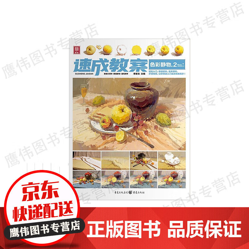 速成教案.色彩静物.2