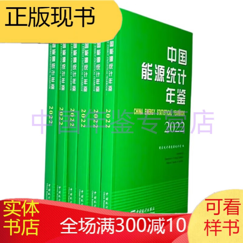 中国能源统计年鉴2022（2023年新书）