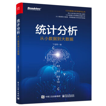 现货:统计分析从小数据到大数据 9787121377532 电子工业出版社 丁亚军