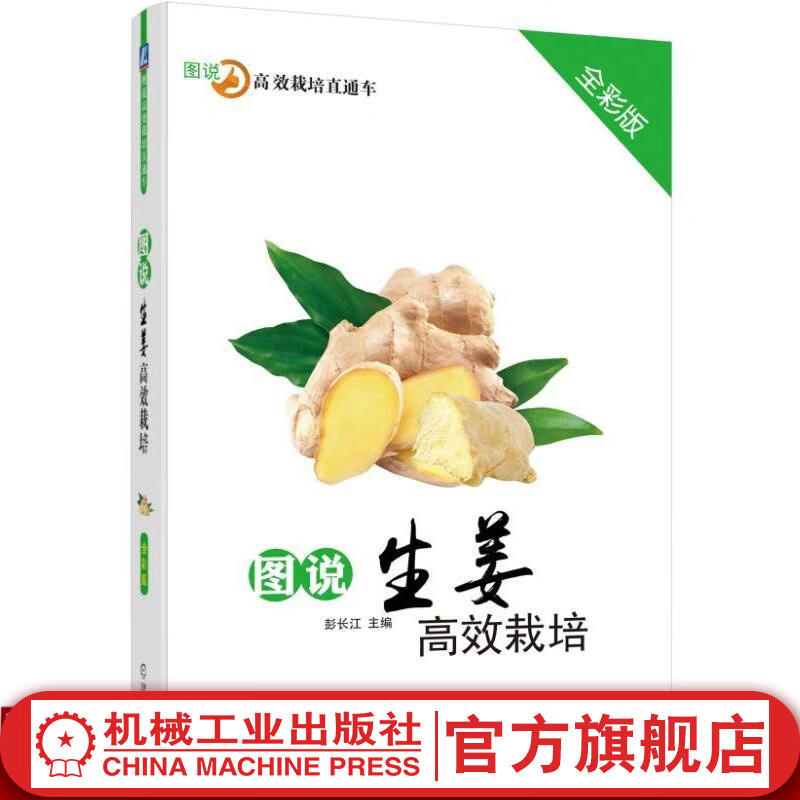官网 图说生姜高效栽培 彭长江 生姜栽培种植技术大全书籍 高产优质生姜种植书 病虫害防治技术书籍