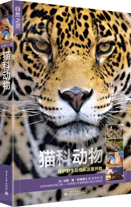 【现货】自然之灵 猫科动物