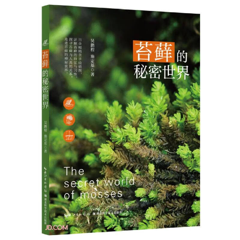 苔藓的秘密世界