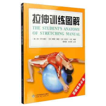 拉伸训练图解