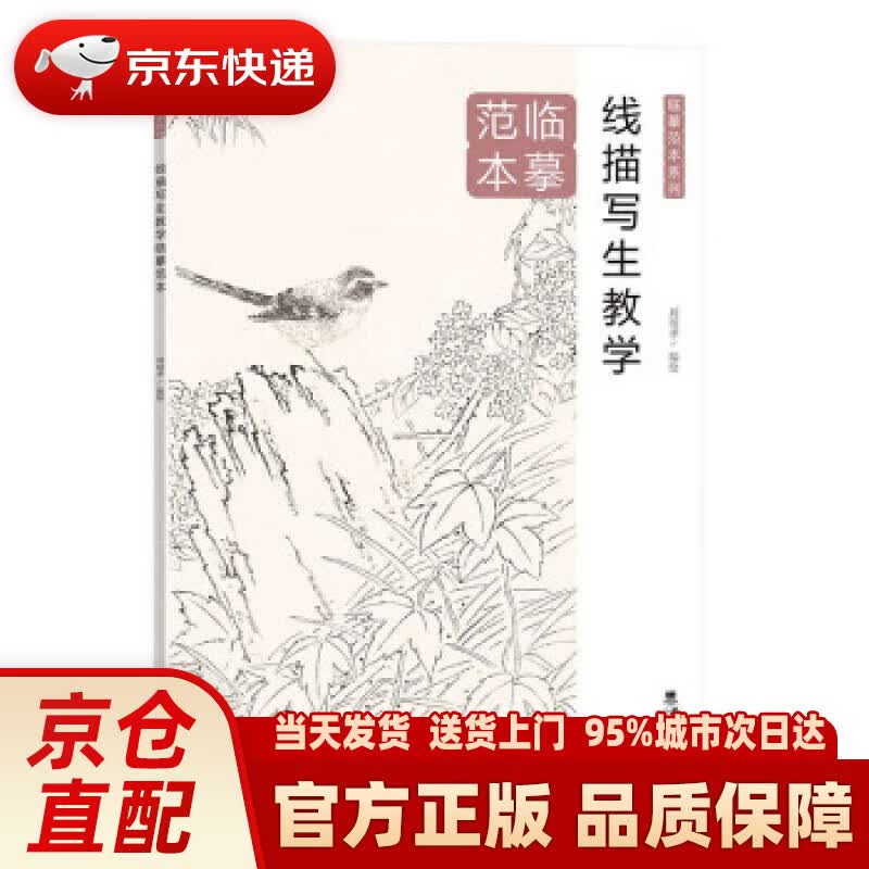 【新华】线描写生教学临摹范本