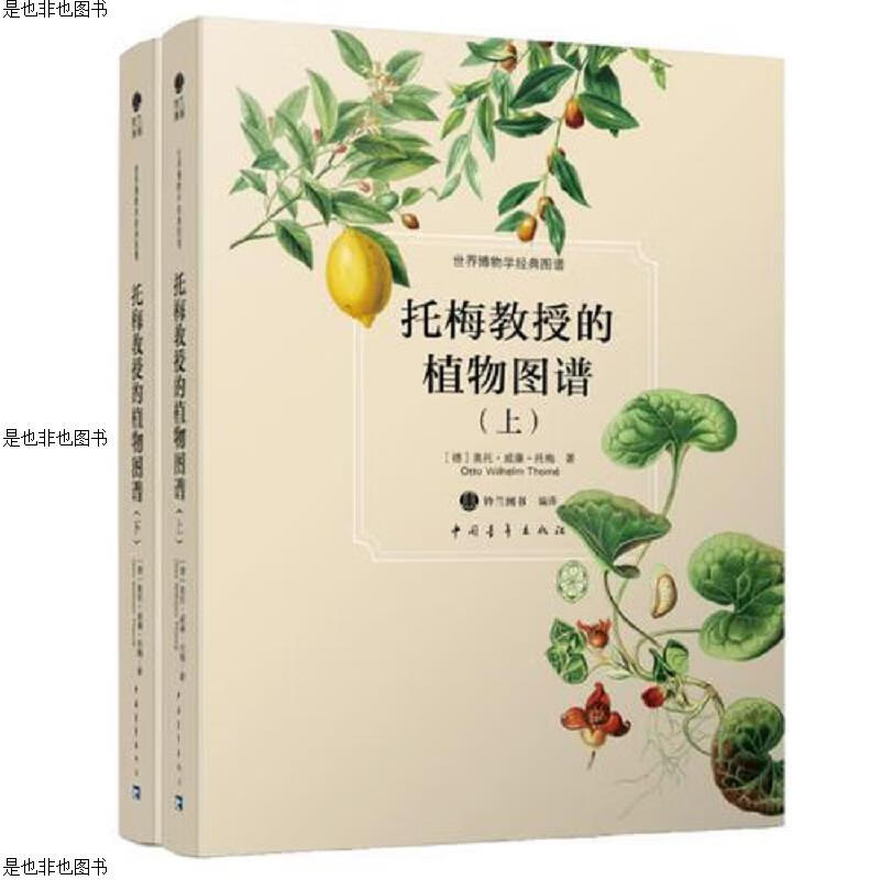 托梅教授的植物图谱上下