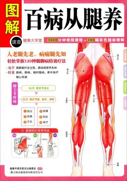 图解健康大学堂：百病从腿养9787546333991吉林出版集团有限责任公司