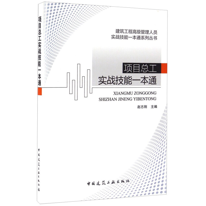 项目总工实战技能一本通中国建筑工业出版社
