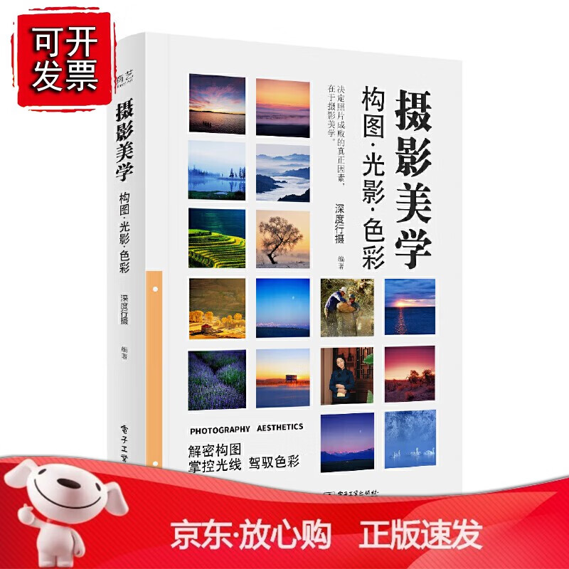 摄影美学：构图·光影·色彩（全彩）
