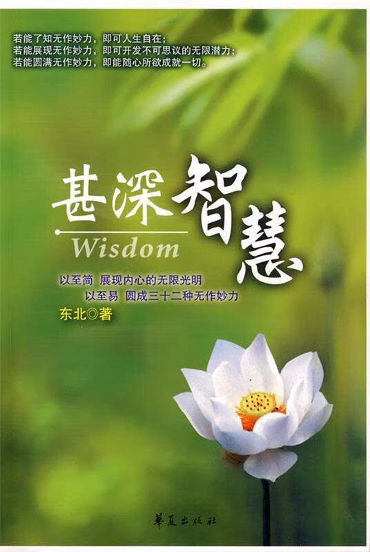 甚深智慧 东北 著