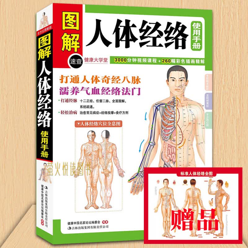 【赠穴位图】 图解人体经络使用手册 健康大学堂 拔罐刮痧艾灸气功食疗 中医养生书籍 四季养生中医穴位按摩