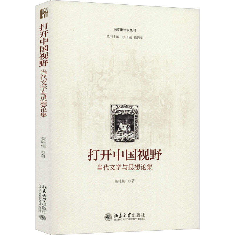 打开中国视野 当代文学与思想论集