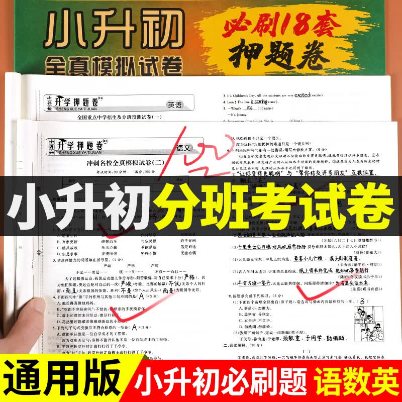 【科目自选】小升初押题名校冲刺试卷语数英全套2022小升初真题全刷人教版小学毕业总复习资料小升初复习冲刺模拟试卷小升初真题卷必刷题复习资料 小升初必刷题语数英全套