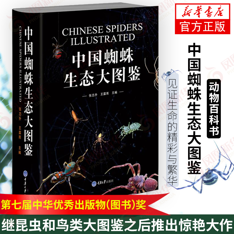 中国蜘蛛生态大图鉴 昆虫图鉴蜘蛛学蜘蛛生态识别 蜘蛛知识档案书动物百科