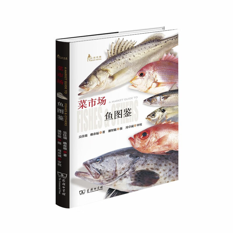 菜市场鱼图鉴 自然观察丛书 餐桌上的自然观察课 自然科学科普读物海洋生物小学生儿童常见海鲜贝类虾蟹鱼类生物自然科学百科书籍 学百科书籍