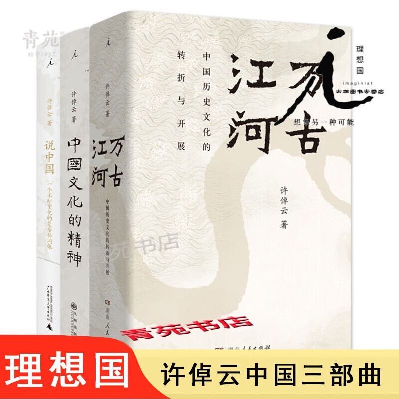 （自选系列）许倬云作品集：历史大脉络+万古江河+观世变+问学记+中国文化的精神+说中国 （许倬云 著 理想国） 中国三部曲：中国文化的精神+万古江河+说中国172