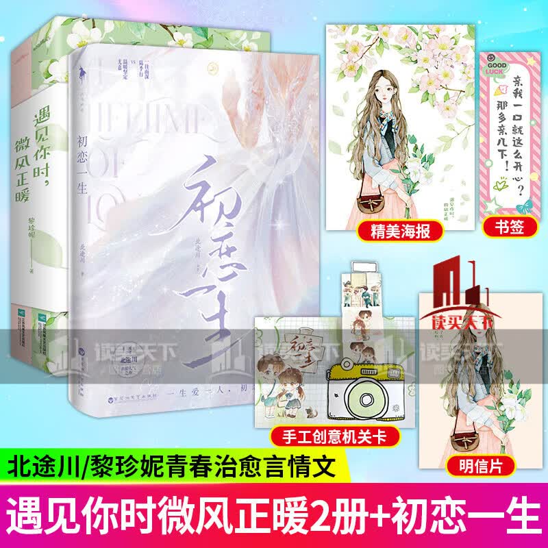 遇见你时微风正暖 初恋一生 黎珍妮著青春文学都市言情甜宠文小说 套装书籍