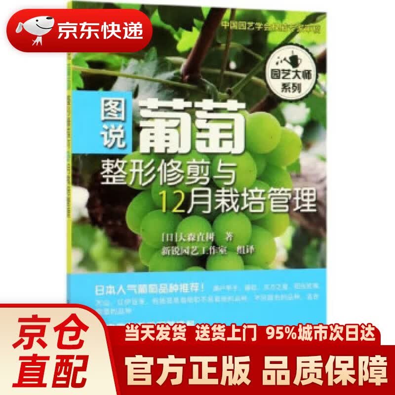 【新华】风情小镇