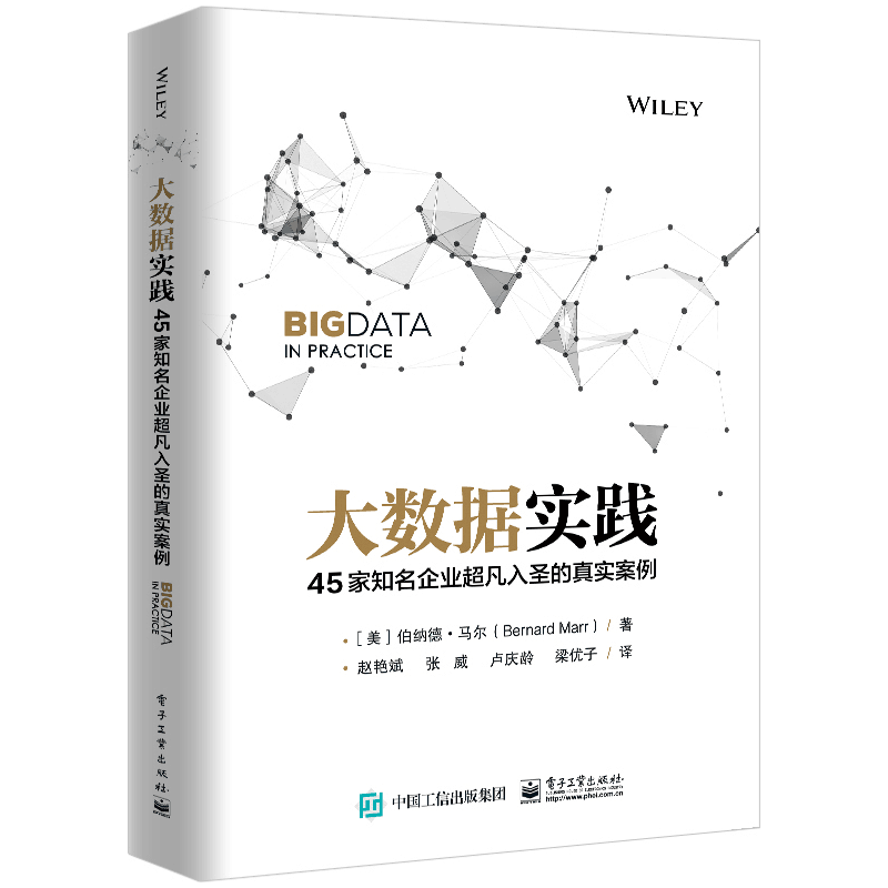 大数据实践 电子工业 9787121352331