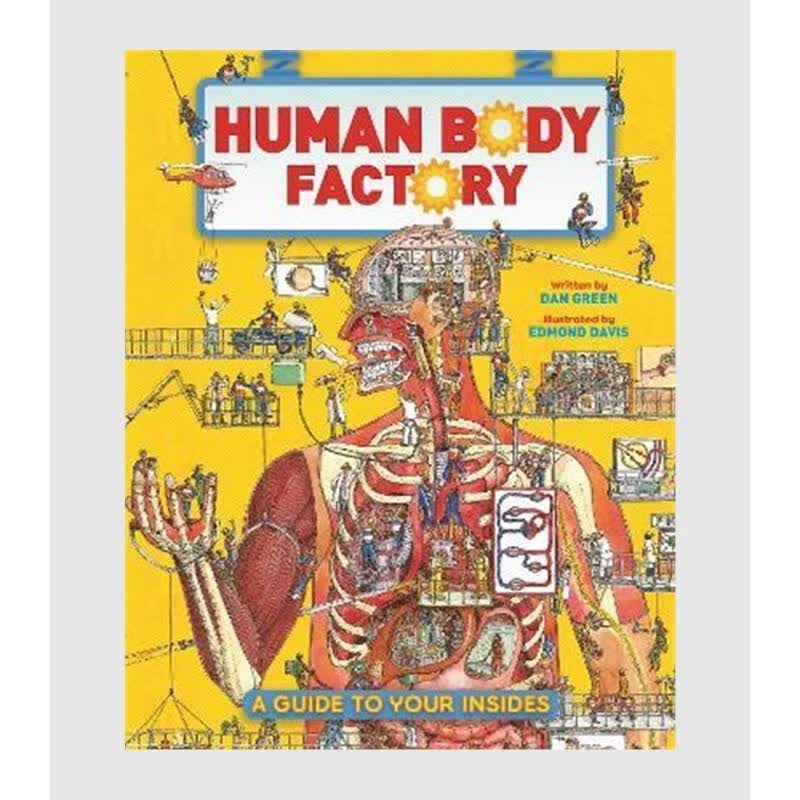 The Human Body Factory:A Guide To Your Insides