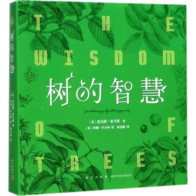 树的智慧