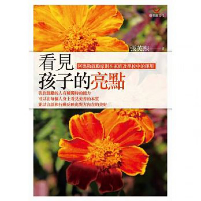 台版 看见孩子的亮点 阿德勒鼓励原则在家庭及学校中的运用 家庭育儿人生教育哲学少儿