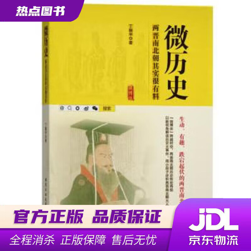 【 官方】微历史—西晋南北朝其实很有料 丁振宇 北京工业大学出版社