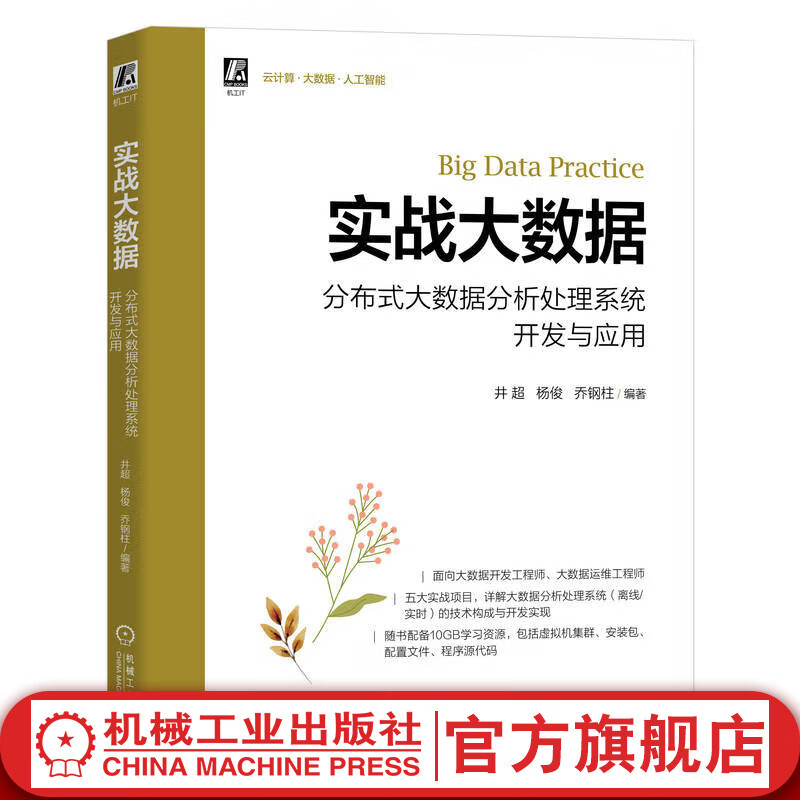 官网 实战大数据 分布式大数据分析处理系统开发与应用 井超 杨俊 乔钢柱 大数据开发大数据运维 大数据分析处理技术实现书