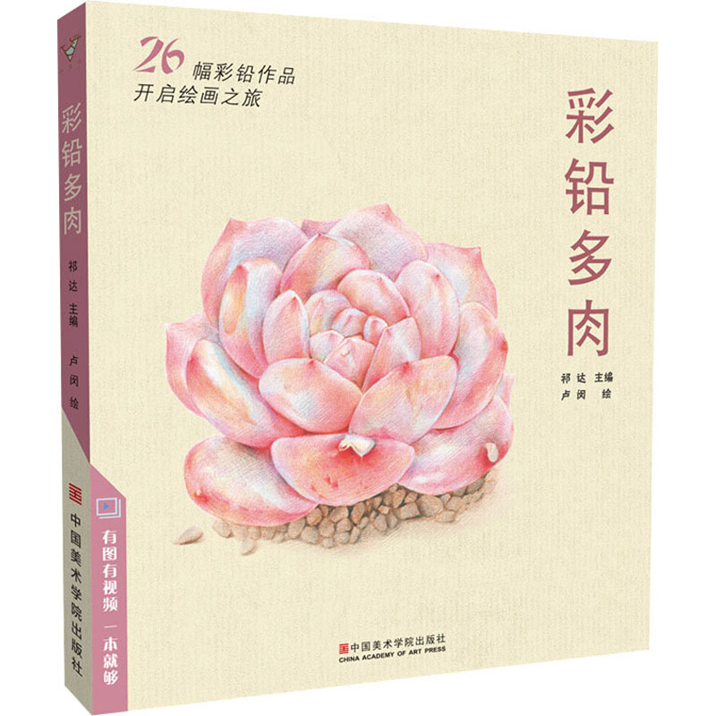 彩铅多肉