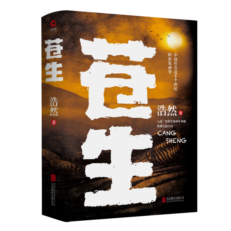苍生 比肩《平凡的世界》的 现实主义长篇巨制 改革开放40年40部重要长篇小说 中国农村变化的真实