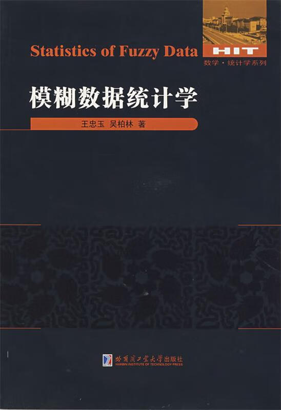 模糊数据统计学 王忠玉著